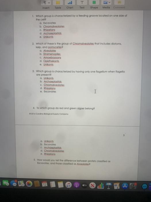 Solved T Insert Table Chart Text Shape Media Commons 1. | Chegg.com