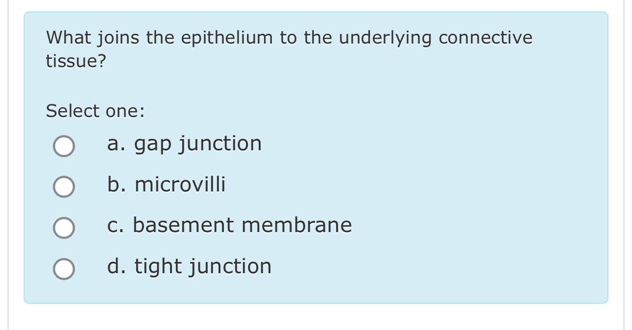 Solved What joins the epithelium to the underlying | Chegg.com