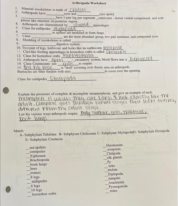 eyes and 6. Arthropoda Worksheet 1. Material | Chegg.com