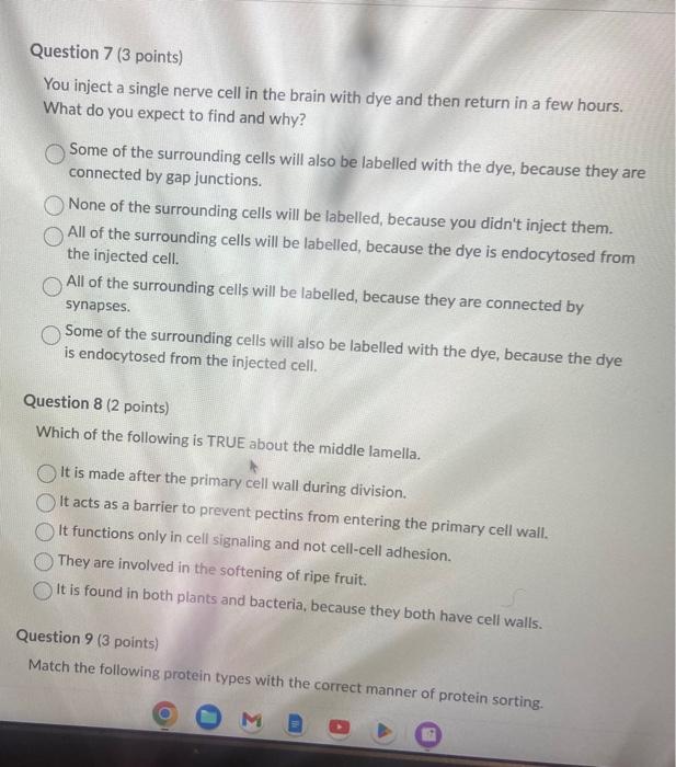 Solved Question 7 (3 points) You inject a single nerve cell | Chegg.com