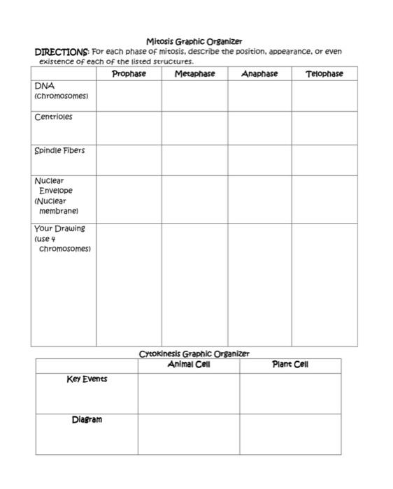 Solved Cell Cycle Graphic Organizer InterPhase Graphic | Chegg.com