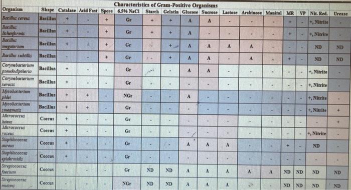 Solved Lab Exercise 11: Making a Dichotomous Key with | Chegg.com