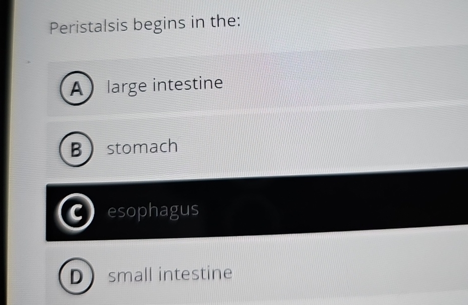 Solved Peristalsis begins in the:large | Chegg.com