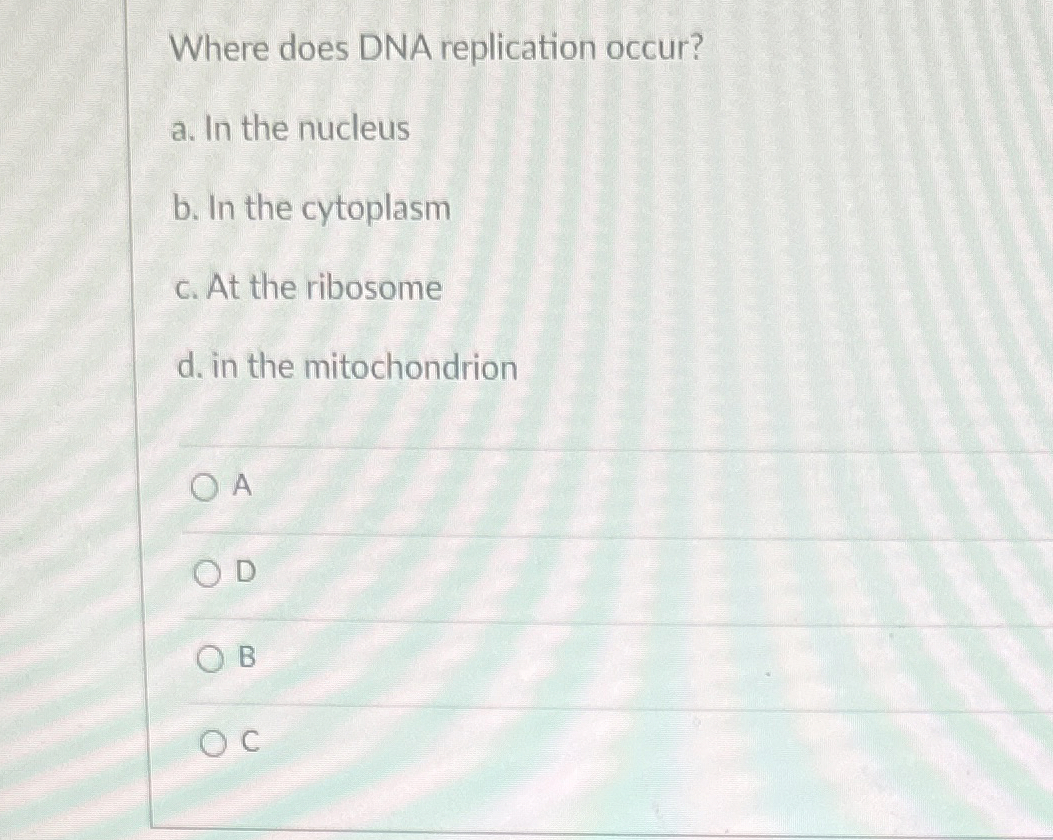 Solved Where does DNA replication occur?a. ﻿In the nucleusb. | Chegg.com