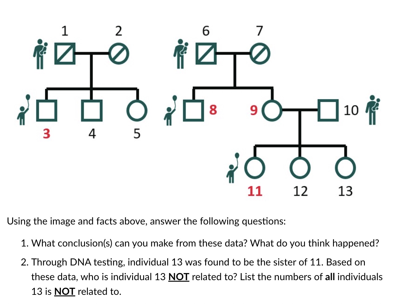 Solved -Using Ancestry testing, siblings 8 ﻿and 9 (brother | Chegg.com
