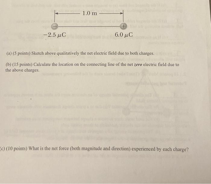 Solved (a) (5 points) Sketch above qualitatively the net | Chegg.com
