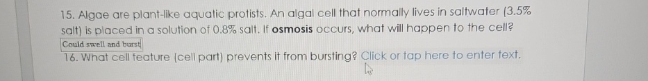Solved Algae are plant-like aquatic protists. An algal cell | Chegg.com
