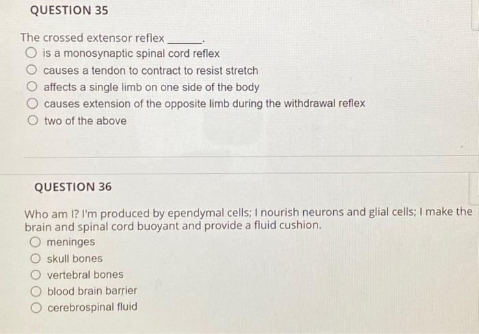 Solved In a spinal cord monosynaptic stretch reflex arc, the | Chegg.com