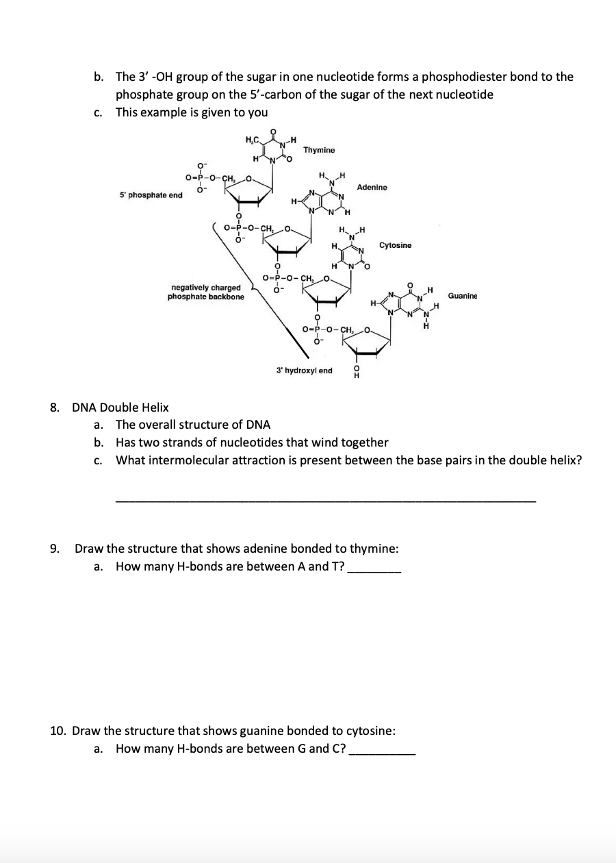 Solved b. ﻿The 3'-OH group of the sugar in one nucleotide | Chegg.com