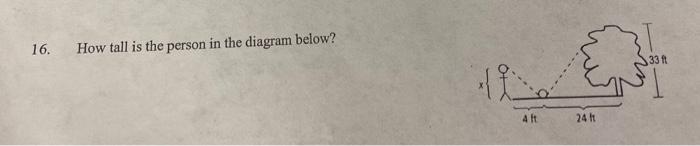 Solved 16. How tall is the person in the diagram below? 33 | Chegg.com