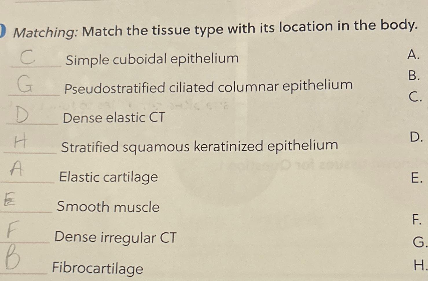 Solved Matching: Match the tissue type with its location in | Chegg.com