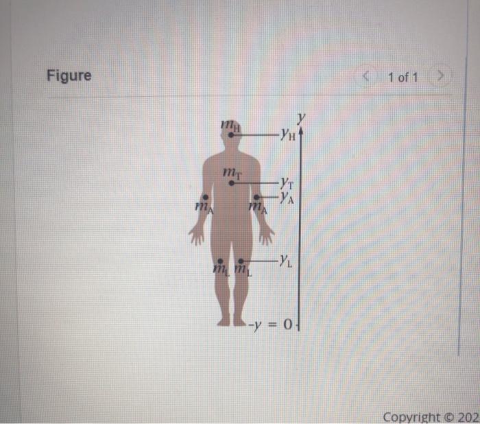 Solved suppose the human body can be reduced to individual | Chegg.com