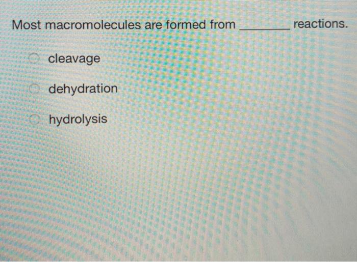Solved Which Of The Following Statements Is True Of Enzymes