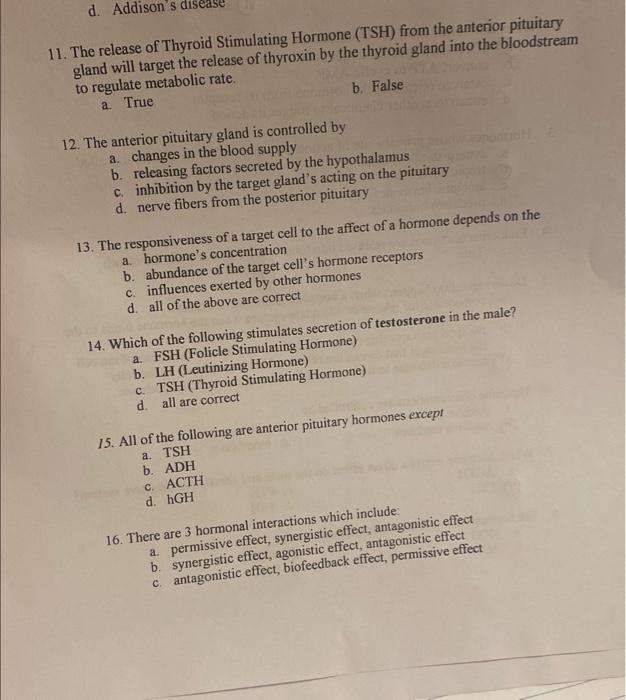 Solved 11. The release of Thyroid Stimulating Hormone (TSH) | Chegg.com