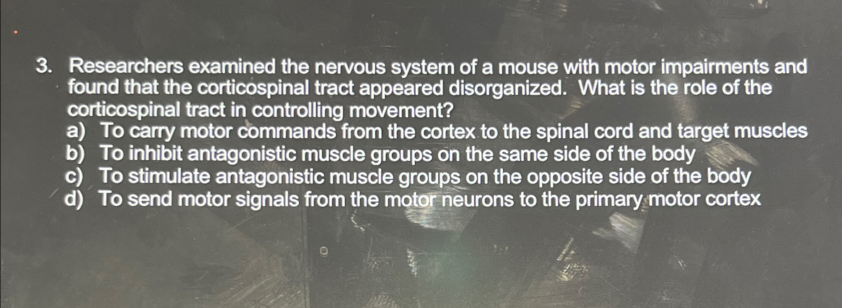 Solved Researchers examined the nervous system of a mouse | Chegg.com