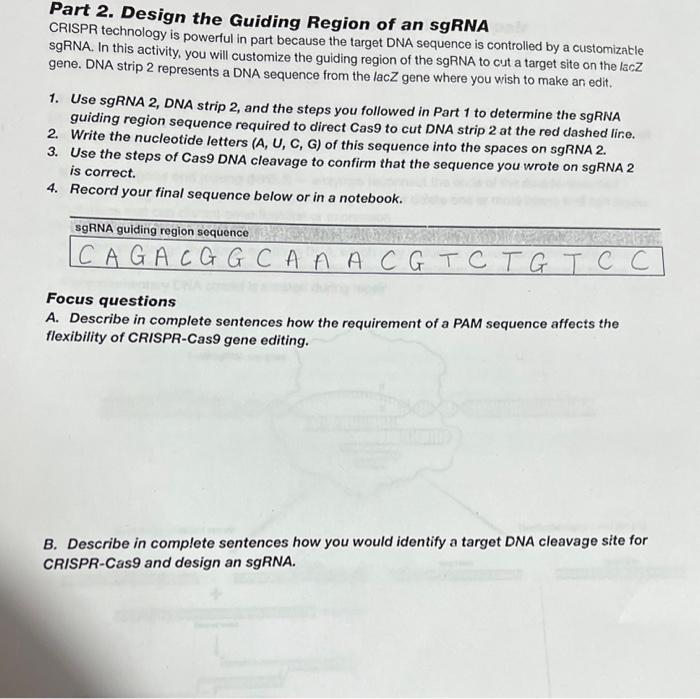 Solved Part 2. Design the Guiding Region of an sgRNA CRISPR | Chegg.com