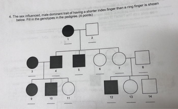 Solved *. The sex influenced, male dominant trait of having | Chegg.com