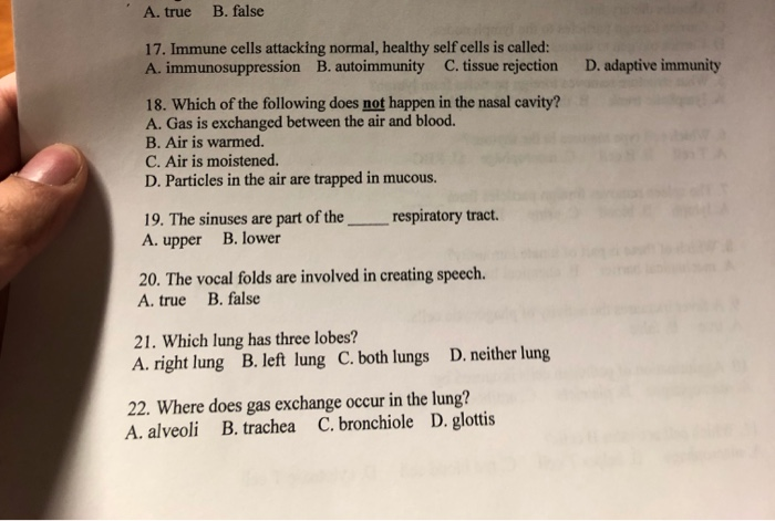 Solved A. true B. false 17. Immune cells attacking normal, | Chegg.com