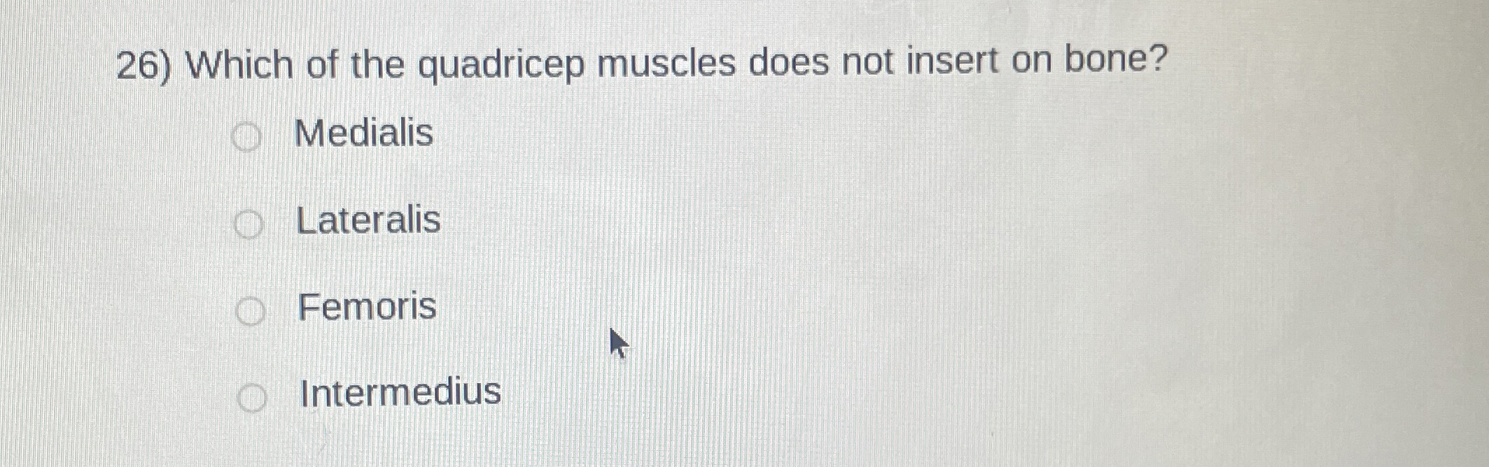 Solved Which of the quadricep muscles does not insert on | Chegg.com