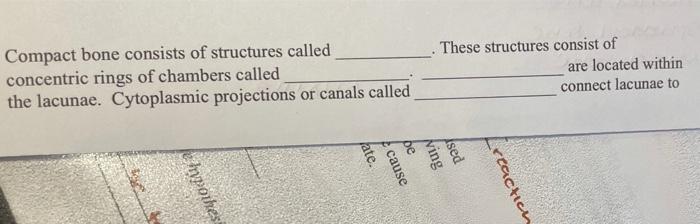Solved Compact bone consists of structures called concentric | Chegg.com