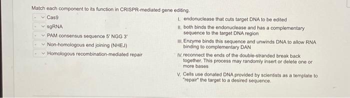 Solved Match each component to its function in | Chegg.com