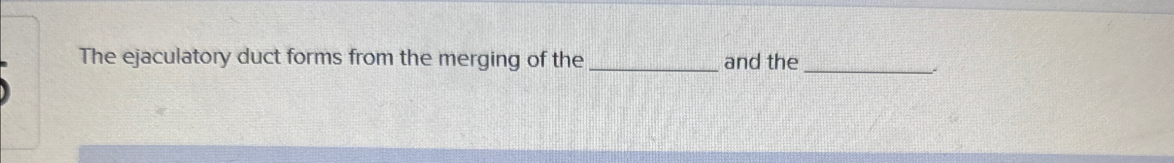 Solved The ejaculatory duct forms from the merging of the | Chegg.com