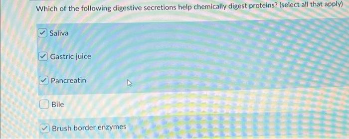 Solved Which of the following digestive secretions help | Chegg.com