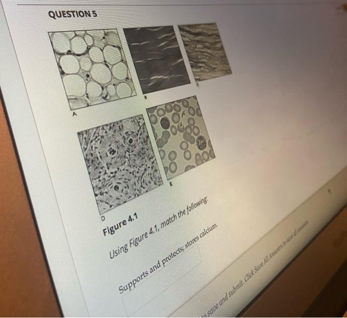 Solved ON MWA SA Www WE w Figure 8.1 Using Figure 8.1, match | Chegg.com