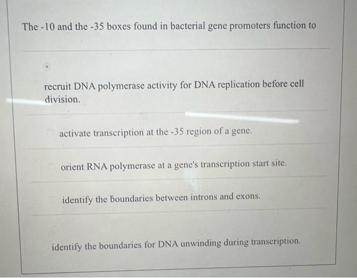 Solved The -10 and the -35 boxes found in bacterial gene | Chegg.com