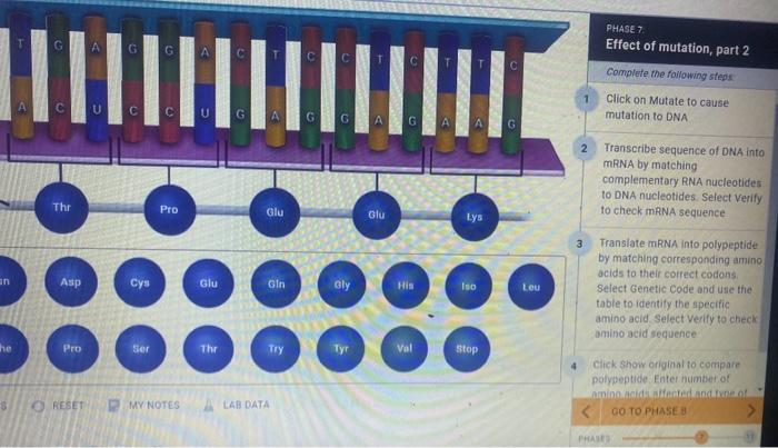 Solved A G G A |||||||| U sn G Thr Asp Pro RESET Cys Pro MY | Chegg.com