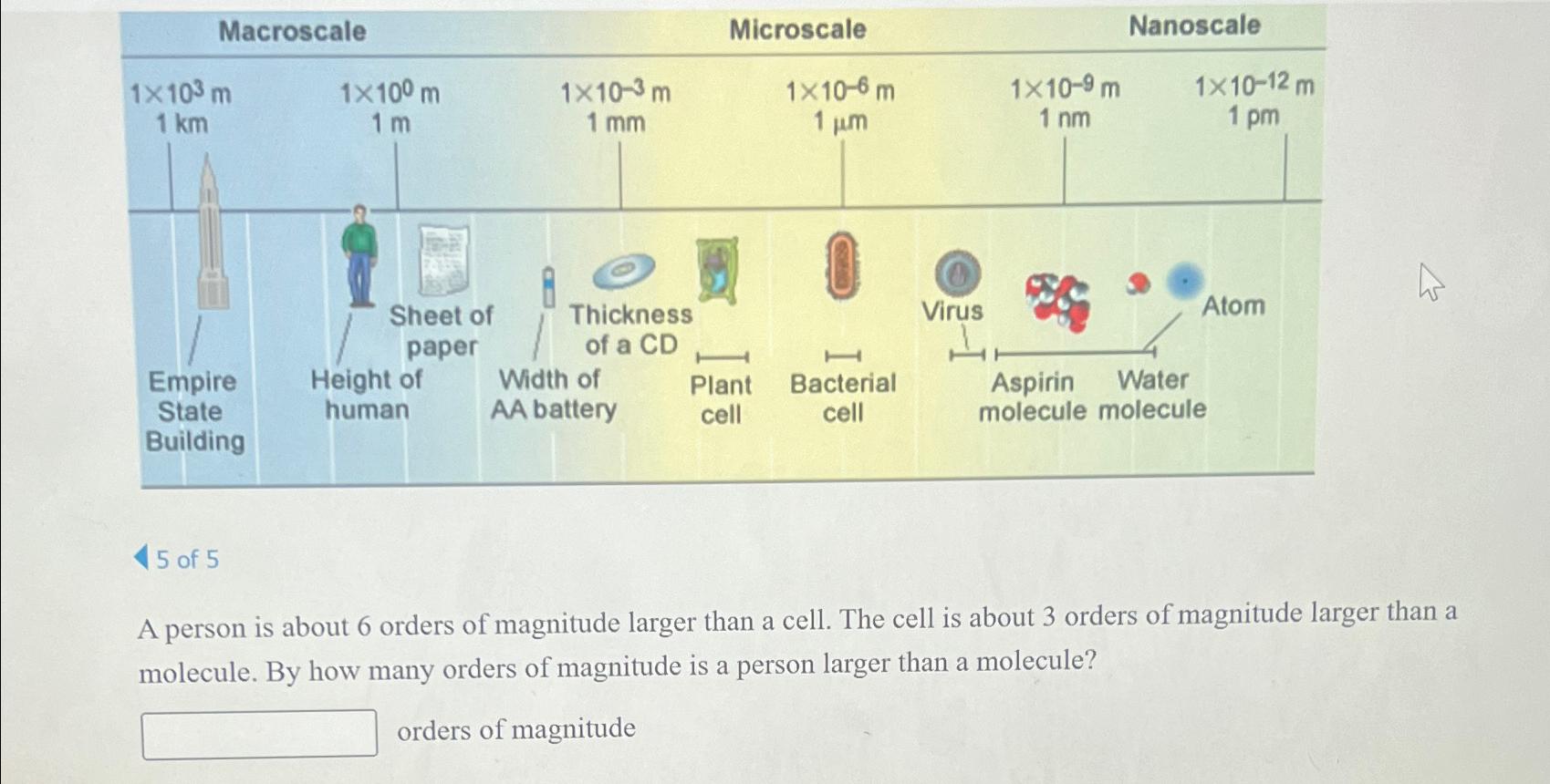 Solved Macroscale Microscale Nanoscale 5 ﻿of 5A person is | Chegg.com