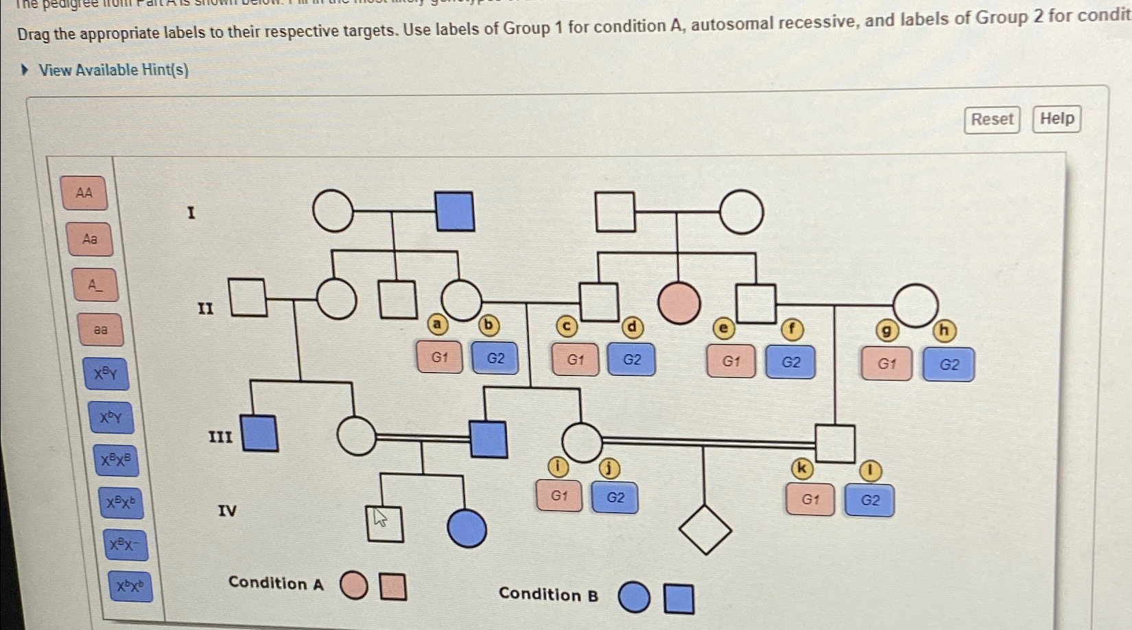 Solved Drag the appropriate labels to their respective | Chegg.com