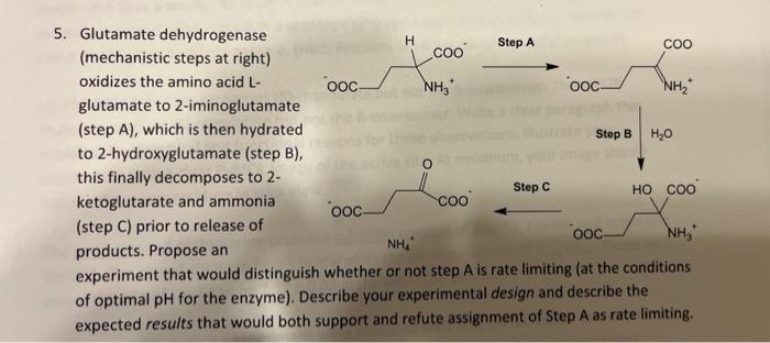 Solved 5. Glutamate dehydrogenase (mechanistic steps at | Chegg.com