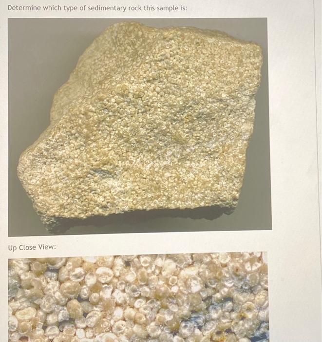 Solved Determine which type of sedimentary rock this sample | Chegg.com