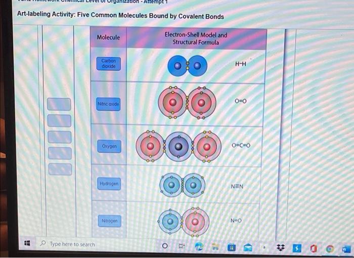 Solved - Attempt 1 Art-labeling Activity: Five Common | Chegg.com