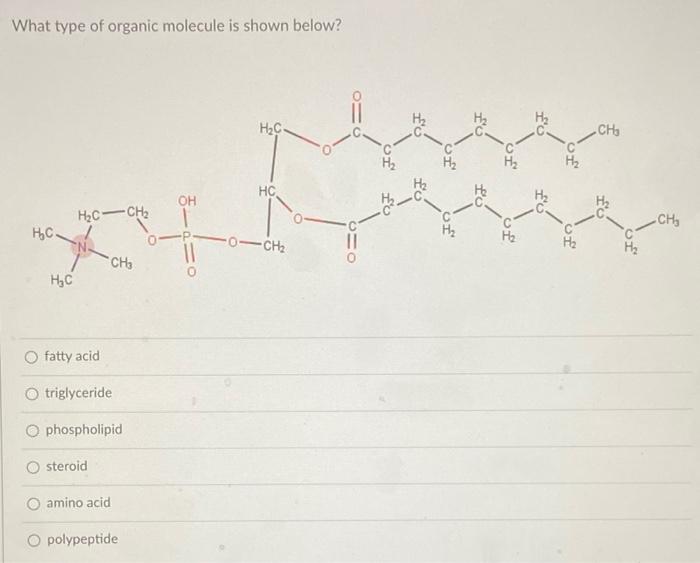 Solved What type of organic molecule is shown below? Hec .CH | Chegg.com