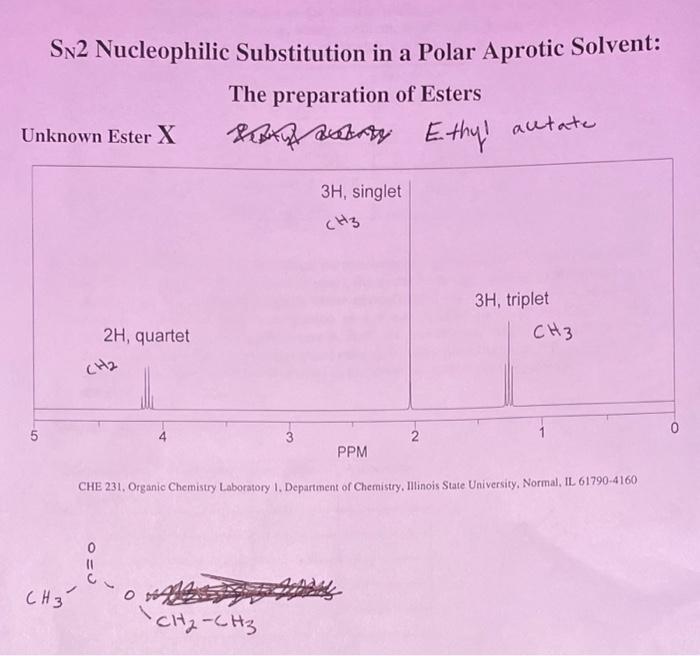 Solved SN2 Nucleophilic Substitution in a Polar Aprotic | Chegg.com