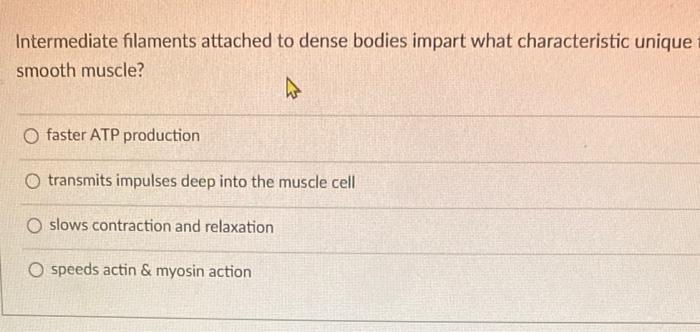 Solved True or False: The muscular system has functions as | Chegg.com