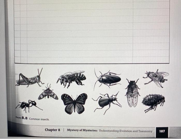 Solved 2 In Table 8.5, construct a key to the insects | Chegg.com
