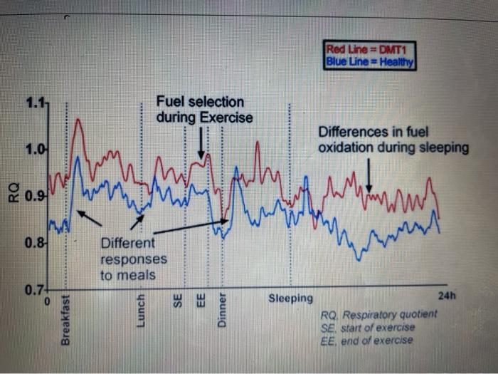 Red Line = DMT1 Blue Line = Healthy Fuel selection | Chegg.com