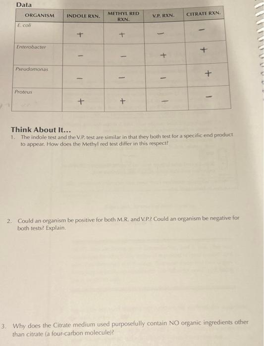 Solved Think About It... 1. The indole test and the V.P. | Chegg.com