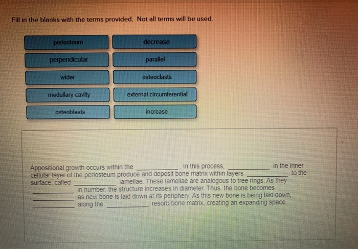 Solved Fill in the blanks with the terms provided. Not all | Chegg.com