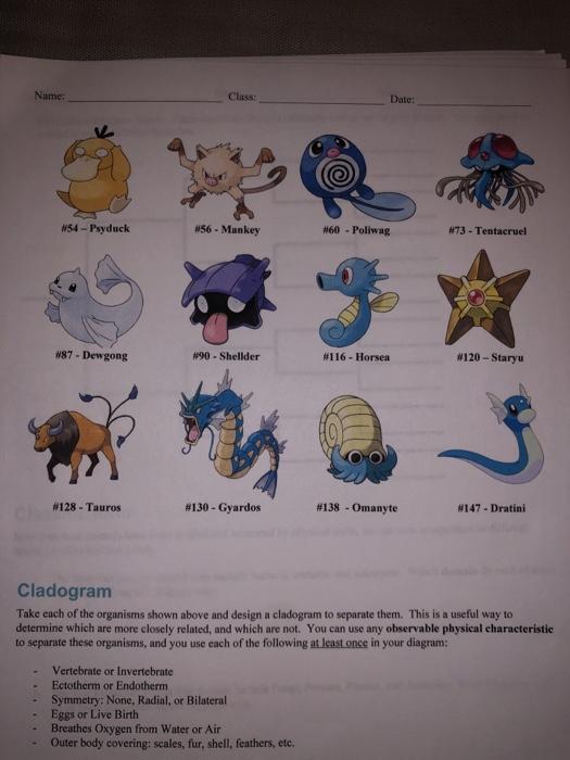 Solved Name: Class: Date: Pokémon Classification Project | Chegg.com