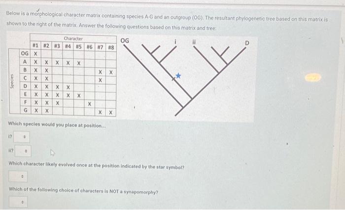 Solved Below is a morphological character matrix containing | Chegg.com
