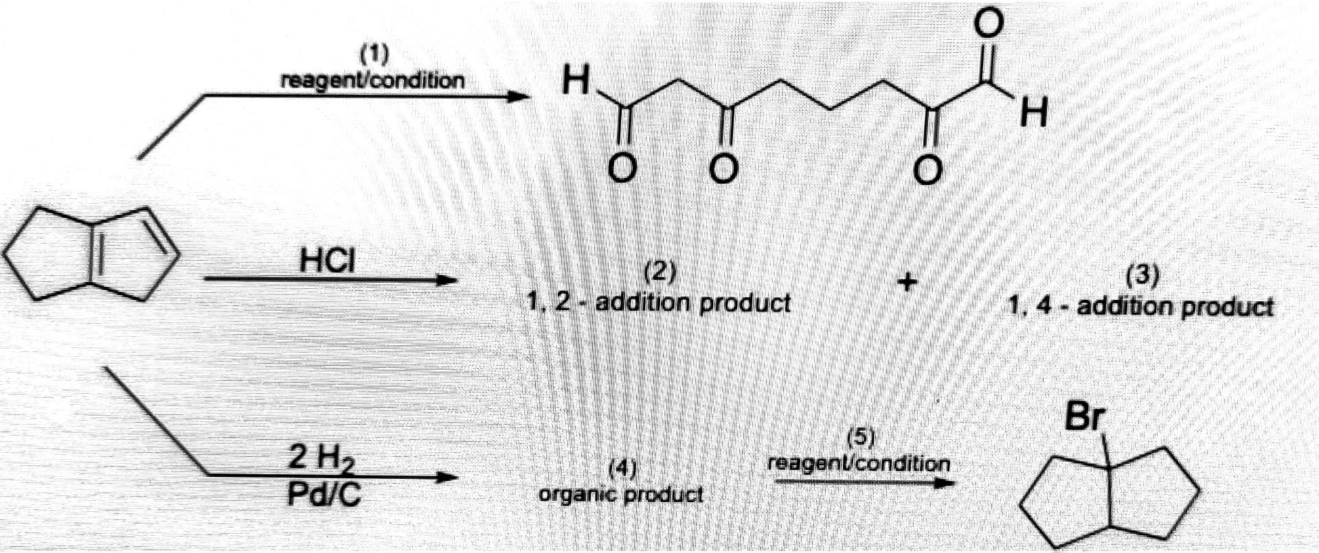 Solved HCl1,2-addition product (3) | Chegg.com