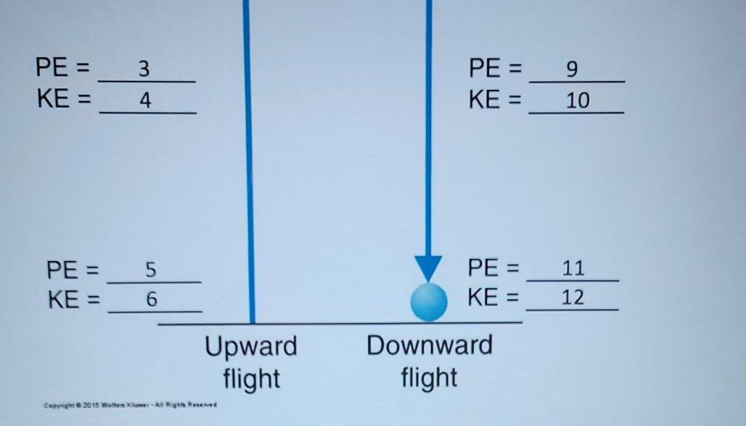 Solved 3 PE = KE = PE = KE = 9 10 4 PE = KE = 5 6 PE = KEE | Chegg.com