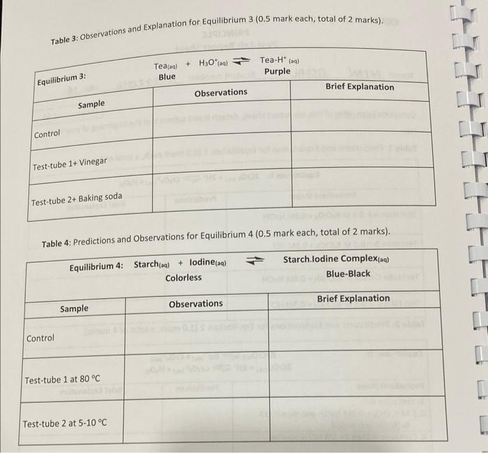 Solved Table 3: Observations and Explanation for Equilibrium | Chegg.com