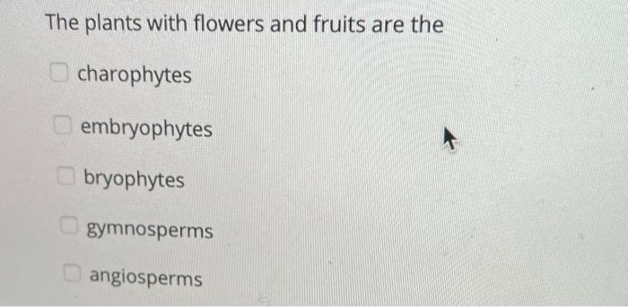 Solved The plants with flowers and fruits are the | Chegg.com