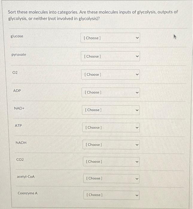 Solved Sort these molecules into categories. Are these | Chegg.com