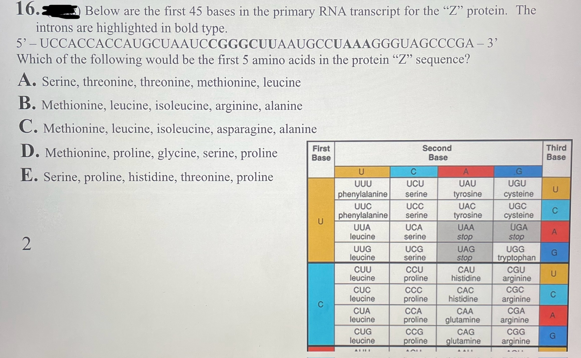 Solved Below are the first 45 ﻿bases in the primary RNA | Chegg.com